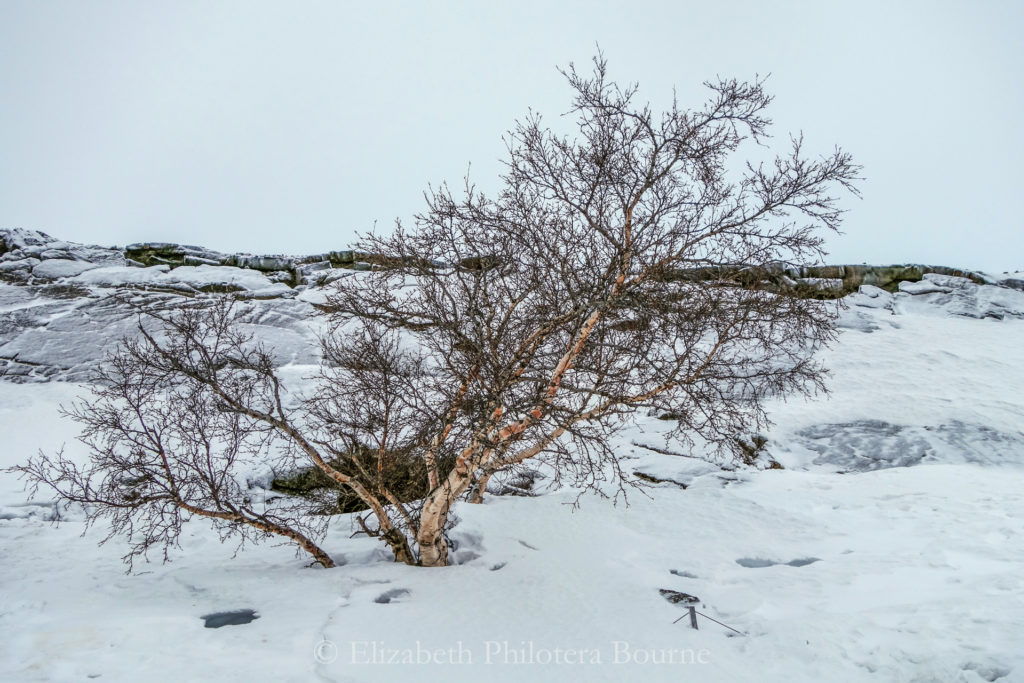 Iceland - Philotera Art and Photography